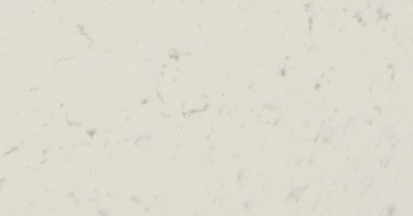 Regency White by CRL Quartz | Polish Granite