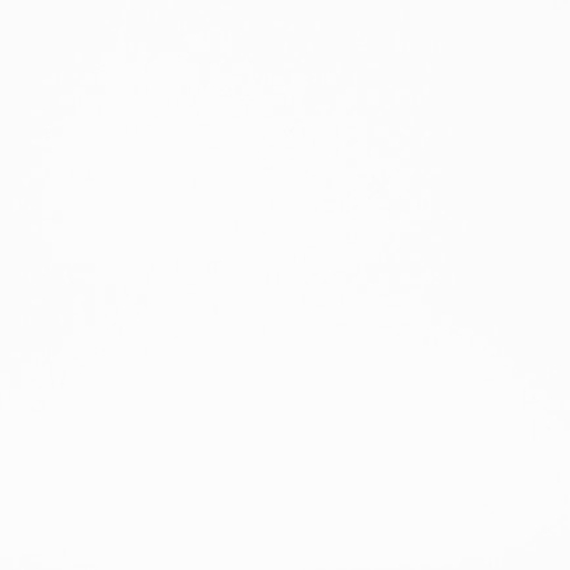 Pure White by Diresco Quartz | Polish Granite